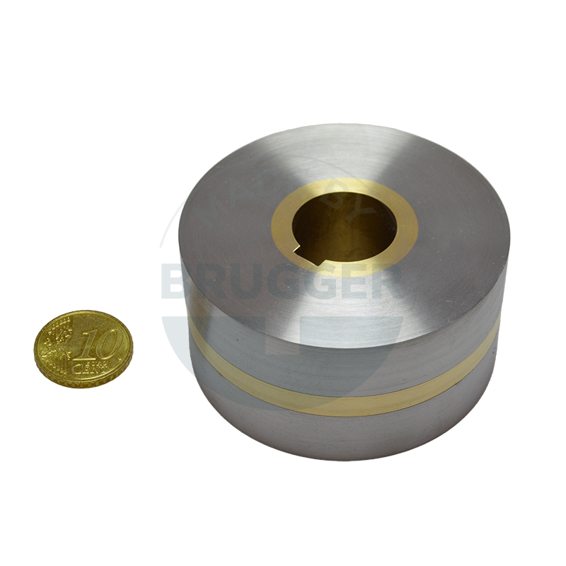 Magnetic wheels with two-pole pitch made of NdFeB, bore with fit ...